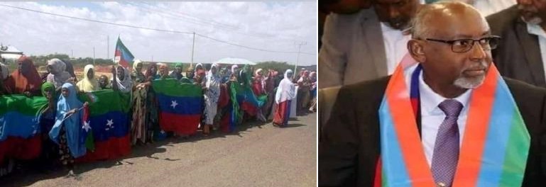 Guddoomiyaha cusub ee Ururka ONLF oo lagu soodhaweeyey Qabri Dahar ...