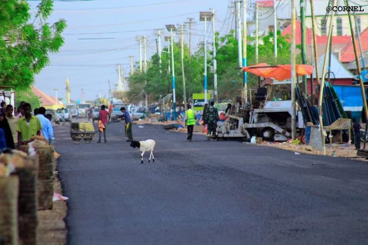 BURTINLE: Dowladda Hoose oo qaati ka taagan Ariga iyo Dameeraha ...