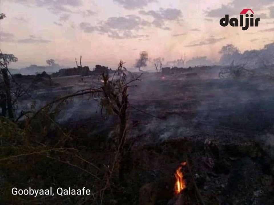 DAB QABSADAY QABALAHA GOOBYAAL | QALAAFE | DDS – Radio Daljir