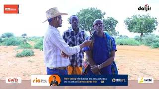 SAHANKA DALJIR & DDS: walwaal ilaa qalocan (Q4aad) – Radio Daljir